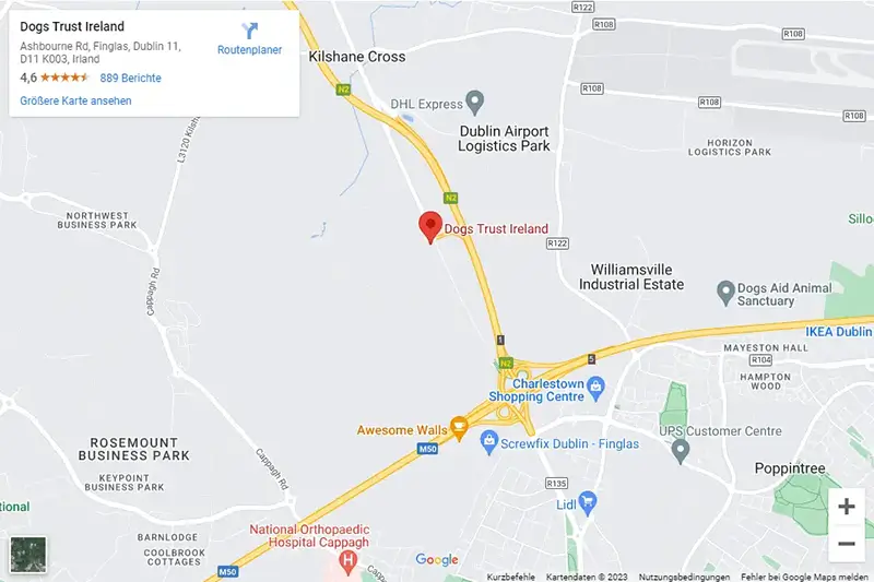 Furry Friends - Found a Friend